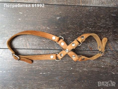 Нагръдник за куче в За кучета в гр Варна Id32288517 Bazar Bg