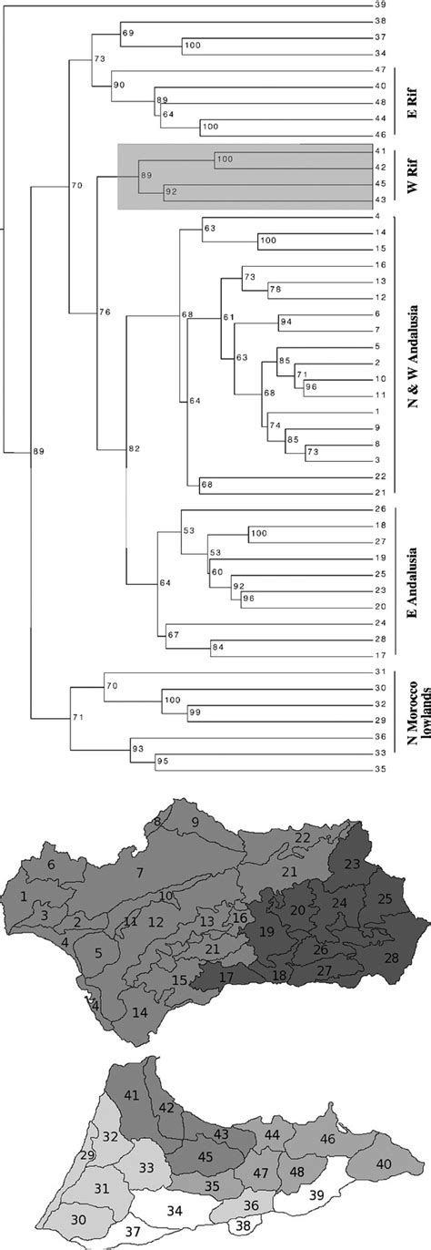 Hierarchical Cluster Analysis Upgma Representation Showing The