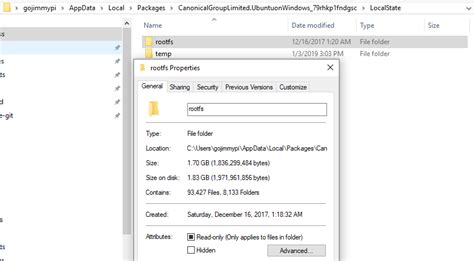 RISC V On FPGA The TinyFPGA Via WSL Part 2 Gojimmypi