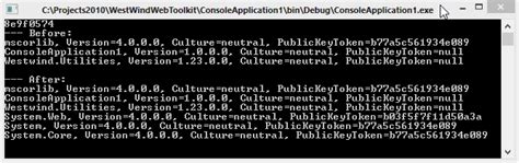 Back To Basics When Does A Net Assembly Dependency Get Loaded Rick