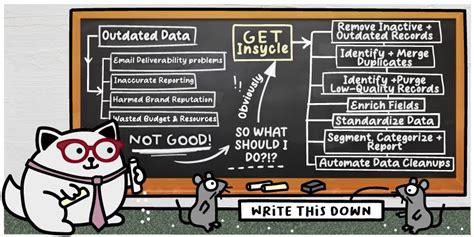 Insycle On Linkedin Crm Data Datamanagement Crmplatform Accuratedata