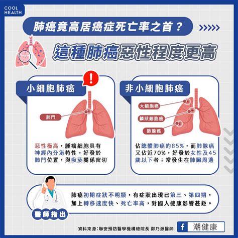 她不菸不下廚仍罹癌！ 台灣肺癌人口「不抽菸比抽菸多」？ 醫曝8大高風險群 新頭條 Thehubnews