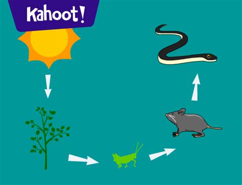 5th Grade Science Mstep Kahoot Quiz