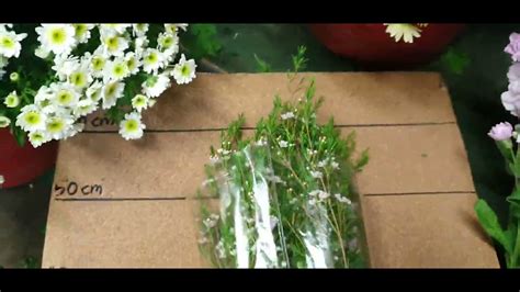 왁스플라워화이트톤 생화 인터넷꽃도매시장 생화택배 생화도매 인터넷꽃시장 인터넷꽃도매 장미대량구매 꽃 꽃다발 꽃도매 꽃시장 부산꽃시장 김해꽃시장 꽃쇼핑몰 김해꽃 부산꽃