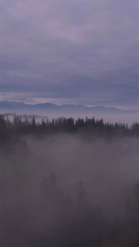 Samarité Cosmetics Official Profile In Georgia სახისა და თვალის დამატენიანებელი და