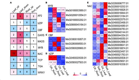 Transcriptome Analysis Of Differentially Expressed Tfs A Number Of