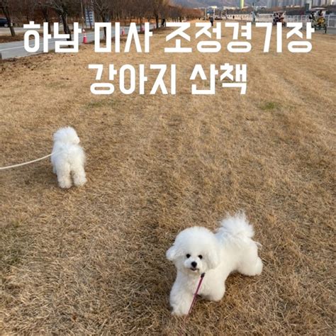하남 강아지 산책 코스 미사 조정경기장 차크닉 입장료 주차 차박 가능여부 네이버 블로그