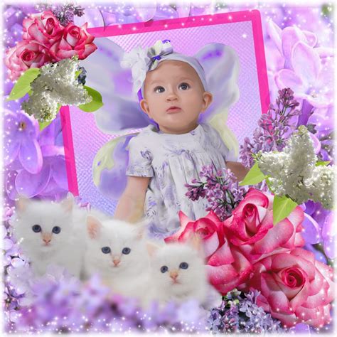 Sinnlichs Cat Frames 2020 Sinnlichs Cat Frames 2020