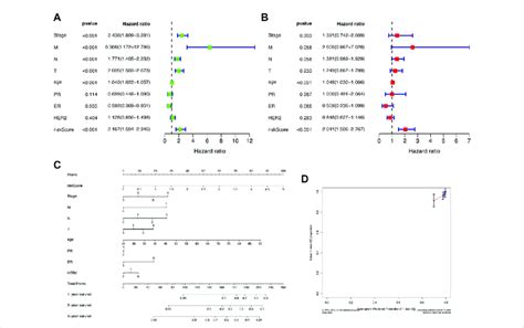 Construction Of Independent Prognostic Factors And Nomogram A