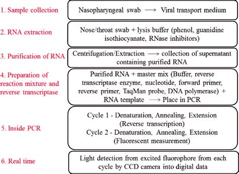 RT PCR Methodological Performance Flowchart Download Scientific Diagram