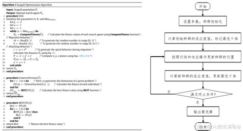 高效计算！海鸥优化算法soa理论与实现（matlabpython双语言教程）soa海鸥优化算法解决最小值最优化问题 Csdn博客
