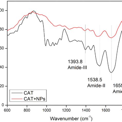 Fourier Transform Infrared Ftir Spectra Of Native Cat With And Download Scientific Diagram