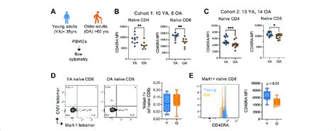 Cd45ra Expression Is Globally Reduced On Antigen Inexperienced Naïve T Download Scientific