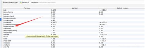 Requirement Already Satisfied解决办法：pip Install 工具包到指定目录requirement
