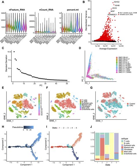 Identification Of 15 Cell Clusters Based On Scrna Seq A Quality