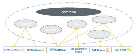 Sap Odm One Domain Model Whats In It For Ente Sap Community