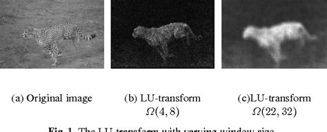 Figure 1 From Real Time Texture Detection Using The Lu Transform Semantic Scholar