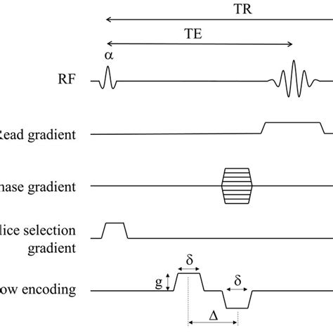 Mrv Sequence Based On The Gradient Echo Method With Flow Encoding