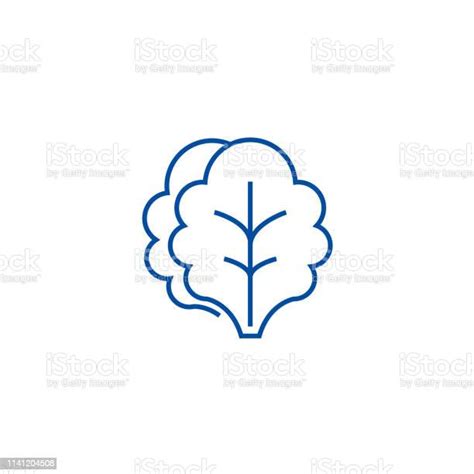 샐러드 라인 아이콘 개념입니다 샐러드 평면 벡터 기호 기호 개요 그림 건강관리와 의술에 대한 스톡 벡터 아트 및 기타 이미지 건강관리와 의술 건강한 생활방식 건강한