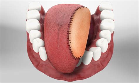 15 Fascinating Facts About Canva