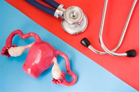 Ovulatory Dysfunction What Is It And How To Deal With It