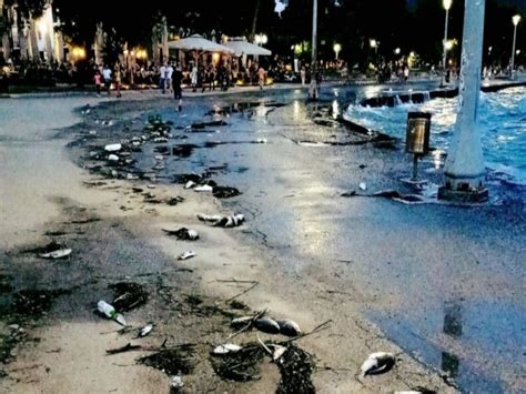 ЗАРАДИ ЕКОКАТАСТРОФАТА Бедствено положение във Волос Информационна агенция ПИК