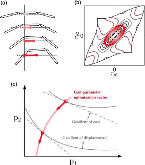 Figure 1 From Optimal Gait Families Using Lagrange Multiplier Method Semantic Scholar