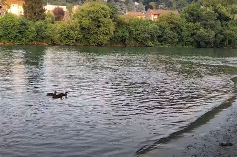 Road Signs Object Detection Model By Machine Learning For Vision And Multimedia Project