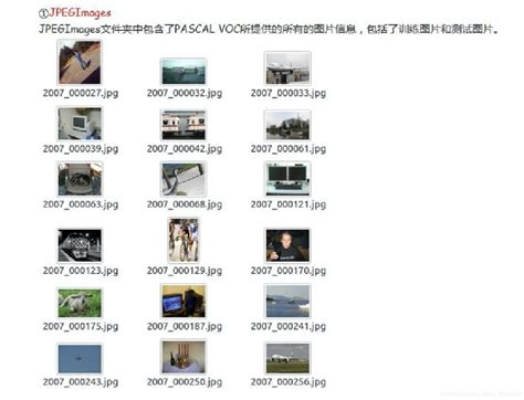 Pascal Voc 2007 数据集简介pascal Voc 2007数据集类别介绍 Csdn博客