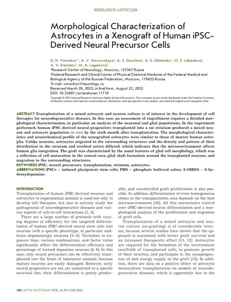 Pdf Morphological Characterization Of Astrocytes In A Xenograft Of Human Ipsc Derived Neural