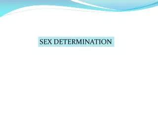 PPT Sex Determination PowerPoint Presentation Free Download ID 2095001