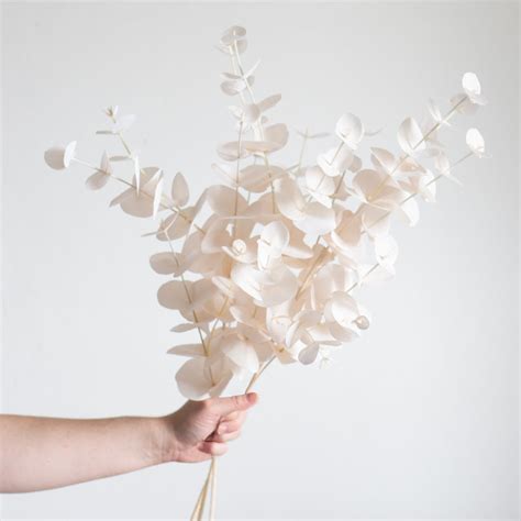 Artificial Eucalyptus Pepperwhites By Tara Dennis