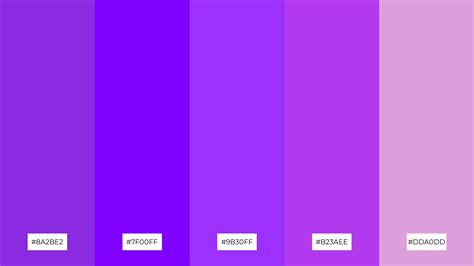 The Best 15 Dark Violet Color Palette Combinations