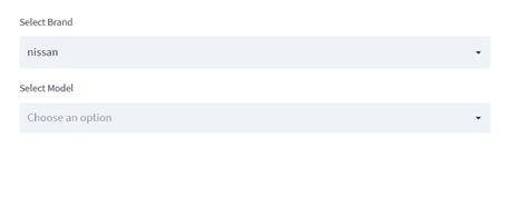 Python Streamlit Problem For Filtering A Selectbox Depending On