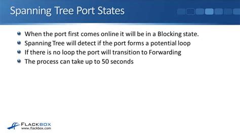 How The Spanning Tree Works FlackBox