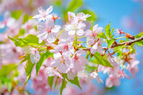 Iotji Iotji рішення Не знаєте скільки реально витрачається електроенергії на підприємстві🏭