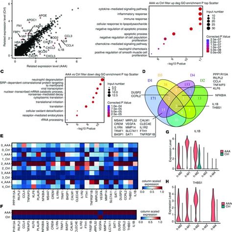 Single Cell Rna Sequencing Scrna Seq Of Human Abdominal Aortic Download Scientific Diagram