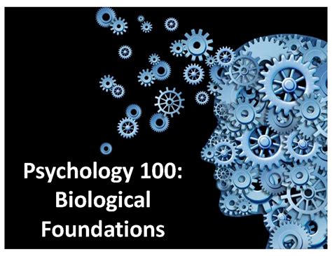 Understanding Action Potentials And Neurotransmission In Psych 100