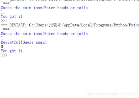 Python小程序（猜硬币）phython编写猜硬币游戏 Csdn博客