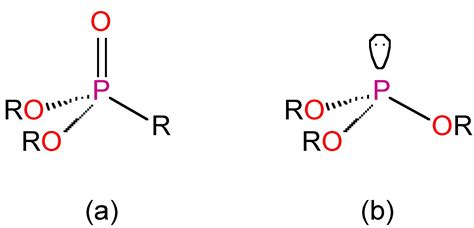 Opbr3 Lewis Structure Chimica Organica Amminoacidi