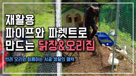 재활용 파이프와 파렛트로 만드는 닭장and오리집 반려 오리와 함께하는 시골 생활의 매력 Youtube