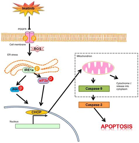 Oncology Reports