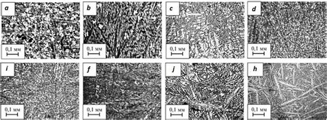 Microstructure Of The Built Up Metal Download Scientific Diagram