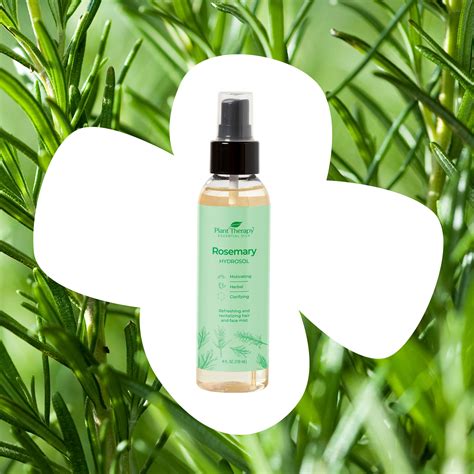 Rosemary Hydrosol Plant Therapy