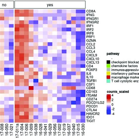 A Graphs Showing A Comparison Of T Cell Marker Expression In Primary Download Scientific