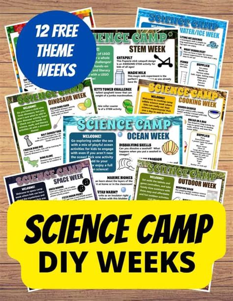 Summer Camp Activities