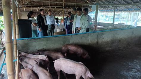 ပုသိမ်မြို့နယ်ရှိ နိုင်ငံ့စီးပွားမြှင့်တင်ရေးရံပုံငွေဖြင့် ဆောင်ရွက်သည့