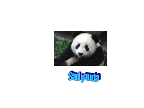 Pandas Ppt