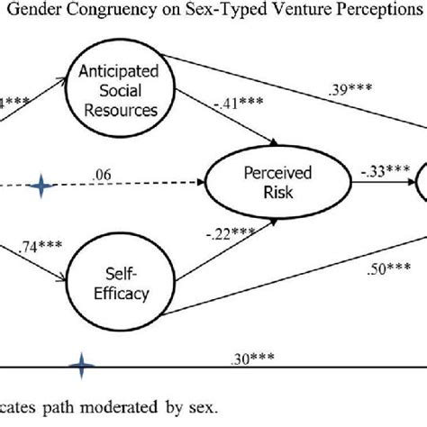 Gender Congruency On Sex Typed Venture Perceptions P