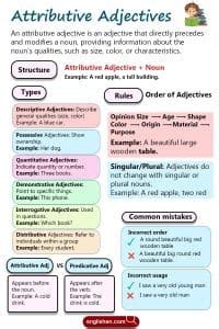 Attributive Adjectives In English With Examples